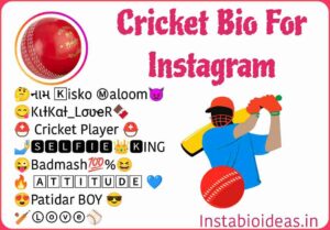 220+ Best Cricket Bio For Instagram | Instagram Bio For Cricket Lovers ...