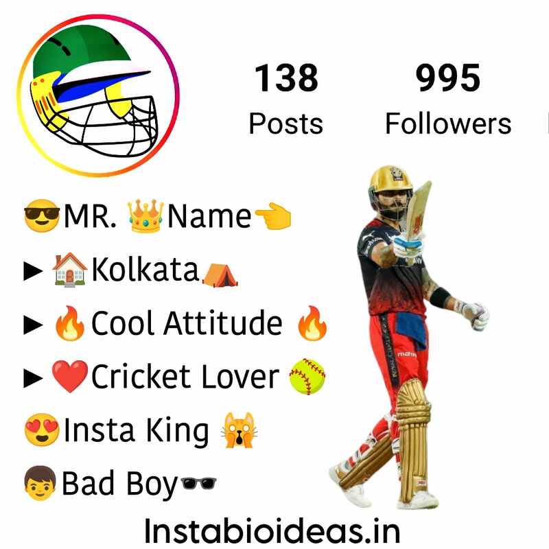 220+ Best Cricket Bio For Instagram | Instagram Bio For Cricket Lovers ...