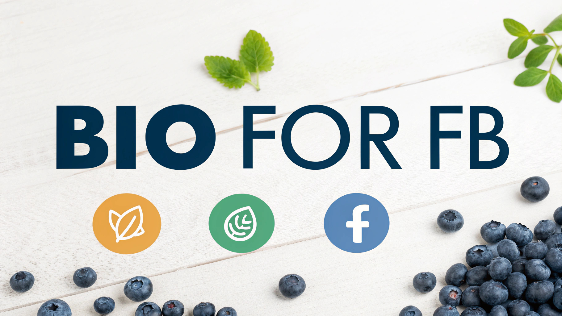 Bio for FB: 50 Creative and Catchy Ideas to Boost Your Profile ...